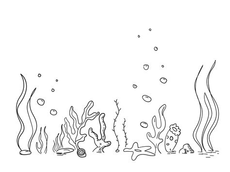 Simple Coral Reef Drawing