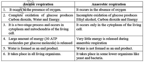 Class 7 Science Respiration In Plants And Animals Chapter Notes