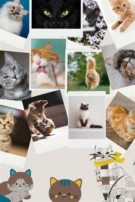 Collage De Gatos Hecho En Casa News Paper Collage Art Newspaper Craft