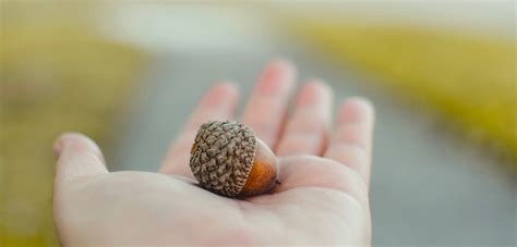 Crack Open Acrn A Device Hypervisor Designed For Iot