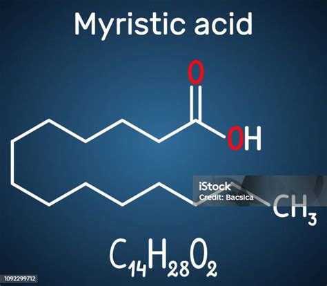 肌酸分子它是飽和脂肪酸深藍色背景下的結構化學式和分子模型向量圖形及更多酸圖片 酸 分子 分子結構 Istock
