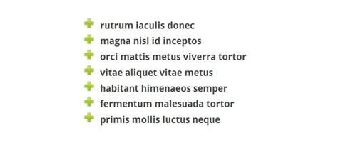How To Create Custom Bullet Points In Wordpress Wpmu Dev