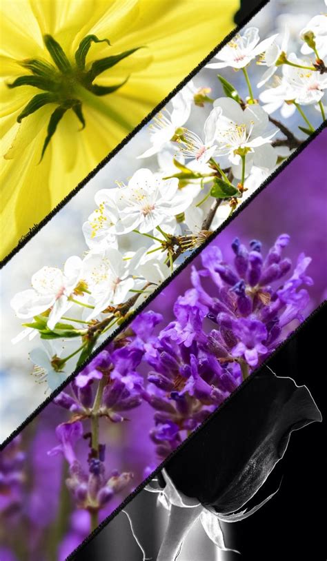 Non Binary Wallpapers Wallpaper Cave Non Binary Wallpapers Wallpaper Cave
