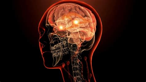 This Is Largely Uncharted Territory Scientists Reveal The Brains