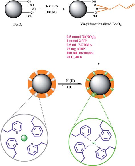 A Schematic Diagram For The Synthesis Process Of Magnetic Ion Imprinted Download Scientific