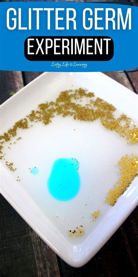 Glitter Germ Experiment Artofit