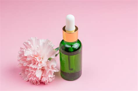 분홍색 배경에 카네이션 꽃이 있는 화장품 병에 비타민 C 세럼 감귤류 에센셜 오일 화장품 아로마테라피 허브 성분을 사용한 유기농 Spa 화장품 0명에 대한 스톡 사진 및