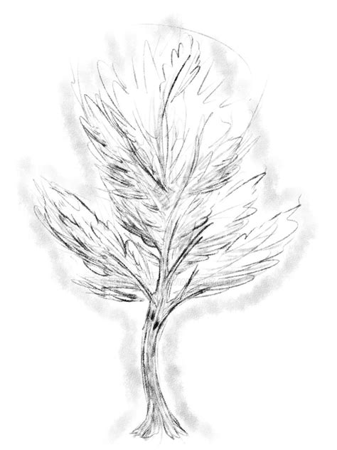 Ginkgo Tree Concept By Tera Toma On Deviantart