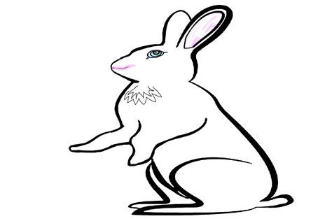 Icon Cute Bunny Rabbit 23334224 Png