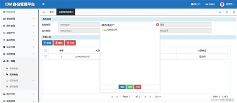 Idm统一身份平台策略配置说明 Idm设置 Csdn博客