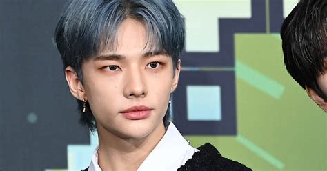 스트레이키즈 현진 브이라인[엑s Hd포토]