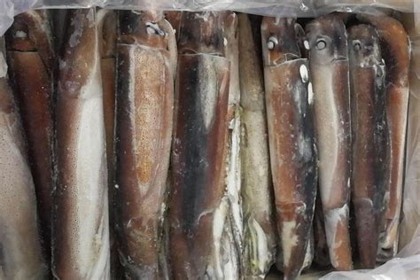 Surume Ika Eel Depot