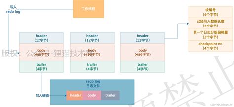 Mysql基础十：redo Log文件的样子redolog长什么样 Csdn博客