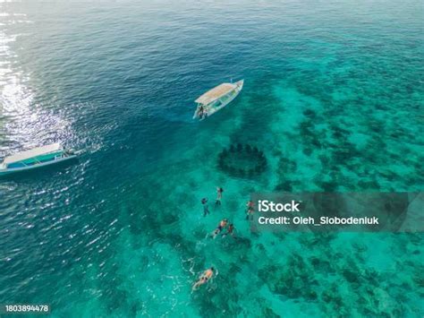 길리 메노 의 수중 동상 근처에서 스노클링을하는 사람들의 조감도 견학에 대한 스톡 사진 및 기타 이미지 견학 경관 공중 뷰 Istock