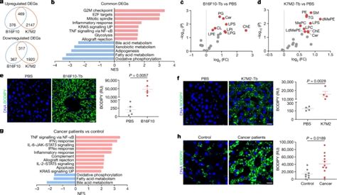 News In Proteomics Research Distal Tumor Extracellular Vesicles Screw Up Liver Metabolism