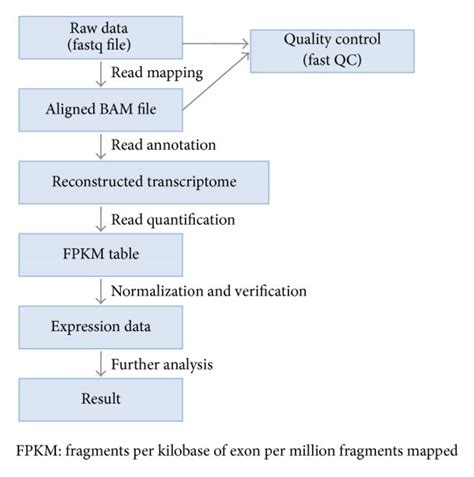 Schematic Overview Of The Transcript Analysis Of RNA Seq Experiment Download Scientific