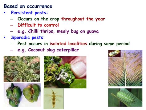 Lec 15 Pests Definition Categories Causes For Outbreak Of Pestsppt