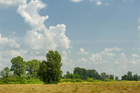 여름 사진 풍경 홍수 초원 풀입니다 특히 한 건초 용 목초지의 조각 잔디 Mown 되었으며 사료로 사용 하기 위해 건조 0명에 대한 스톡 사진 및 기타 이미지 Istock