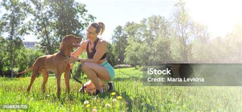 화창한 여름 아침에 공원에서 애완견과 함께 운동을 하는 백인 중년 여성 조깅 훈련을 시작하기 전에 워밍업하십시오 활동적인 건강한 생활 방식 공간 복사 배너 스포츠 훈련에