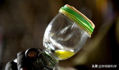 中國第一毒蛇究竟有多毒？008毫克就致人死亡，南方農村很常見 每日頭條