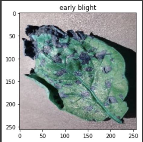 GitHub Shazinho10 Potato Disease Classification
