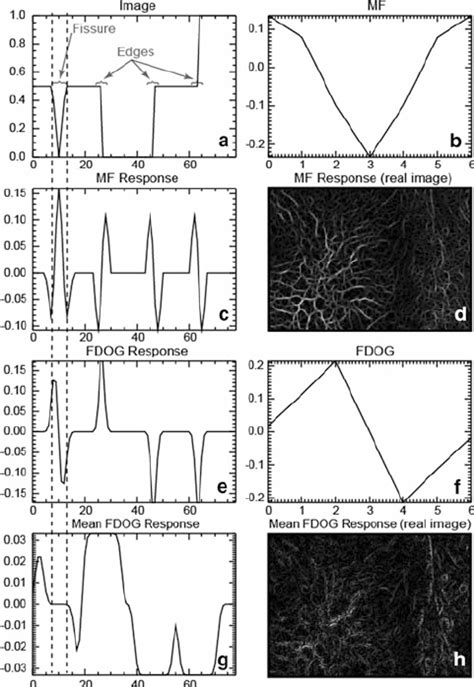 Illustration Of The Principles Of The Gaussian Filtering For A Download Scientific Diagram
