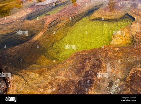 The Natural Rock Formations On The Top Of Mount Roraima Which Serves As