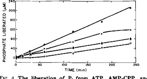 Figure 1 From The Role Of Nucleoside Triphosphate Pyrophosphohydrolase In In Vitro Nucleoside