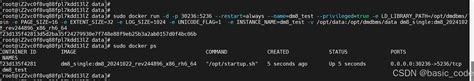 docker部署达梦数据库 达梦数据库docker镜像 csdn博客