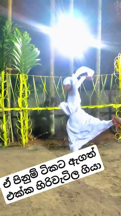 අපේ උරුමය රකින රත්තරන් කොල්ලො Youtube