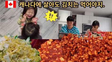 쌍둥이 싸움 말리고 김치 담고 쉴 틈 없는 엄마 일상 브이로그 캐나다 사는 한인 가족 일상 브이로그🍁56 28개월