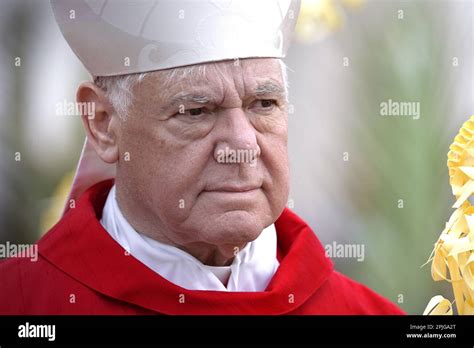 Cardinal Gerhard Ludwig Mullerpope Francis Celebrates The Palm Sunday