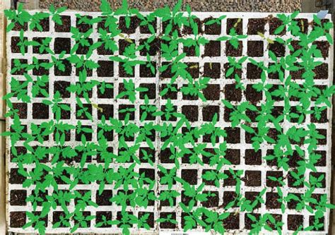 Do Image Annotation Segmentation Bounding Box For Ai By Mdarifajs