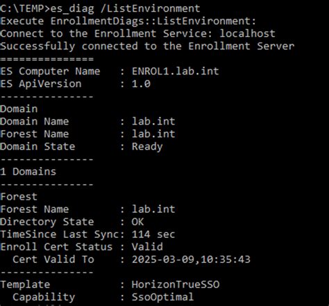 Enabling And Troubleshooting Omnissa Horizon True Sso Many Miles Away