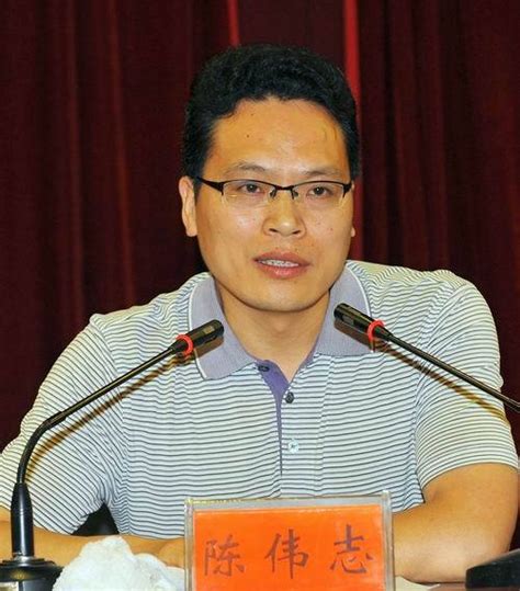陈伟志图册 360百科