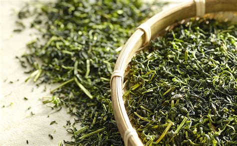 녹차 아모레퍼시픽