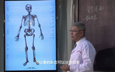 霍琨人体解剖学（带字幕） 哔哩哔哩