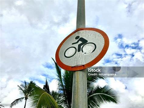 보드 기둥에 교통 표지판 거리 간판 트래픽을 읽습니다 교통 전용 차선 속도 표지판 자전거 타는 사람을 위한 표지판 0명에 대한