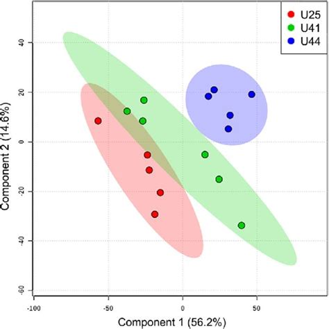 Principal Component Analysis Model Comparing 1 H Nmr Metabolomic