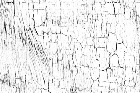 크로켈루 흰색 배경에 금이 페인트와 질감 스크래치 브러시 스트로크 페인트의 얇은 추상 코트 아크릴 구아슈 라임 질감에 대한 스톡 벡터 아트 및 기타 이미지 Istock