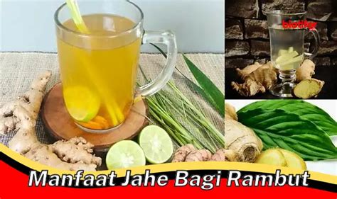 Temukan Khasiat Jahe Untuk Rambut Yang Jarang Diketahui Biotifor