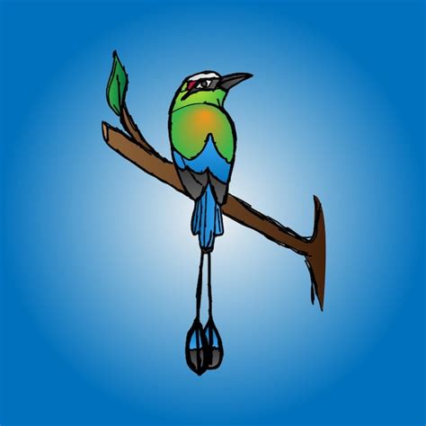 Wee Kurulla Vectors And Illustrations For Free Download Freepik