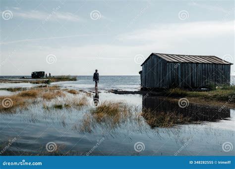 A Girl Walks On The Water During The White Sea Overflow Stock Image