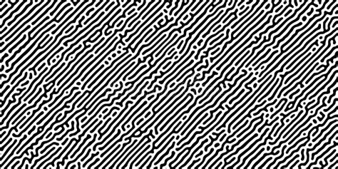 Turing Reaction Diffusion Monochrome Seamless Pattern With Directional