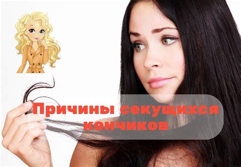 Почему секутся кончики волос причины секущихся кончиков что делать