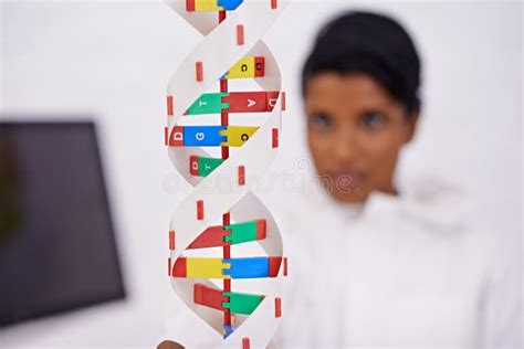 DNA Model Person Or Lab As Science Research Or Medical Innovation By Technology Women Or