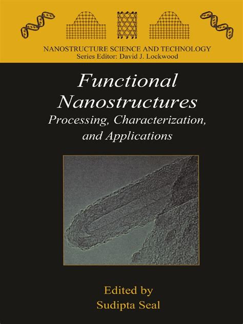 Functional Nanostructures Pdf Nanotechnology Electron Microscope