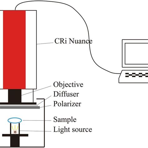 The Experimental System For Recording Multispectral Imaging Download