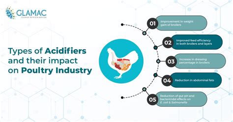 Glamac Best Poultry Feed Additives Company In India