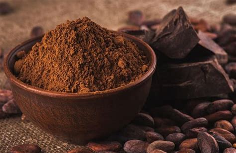 COCOA POWDER Campco Chocolates